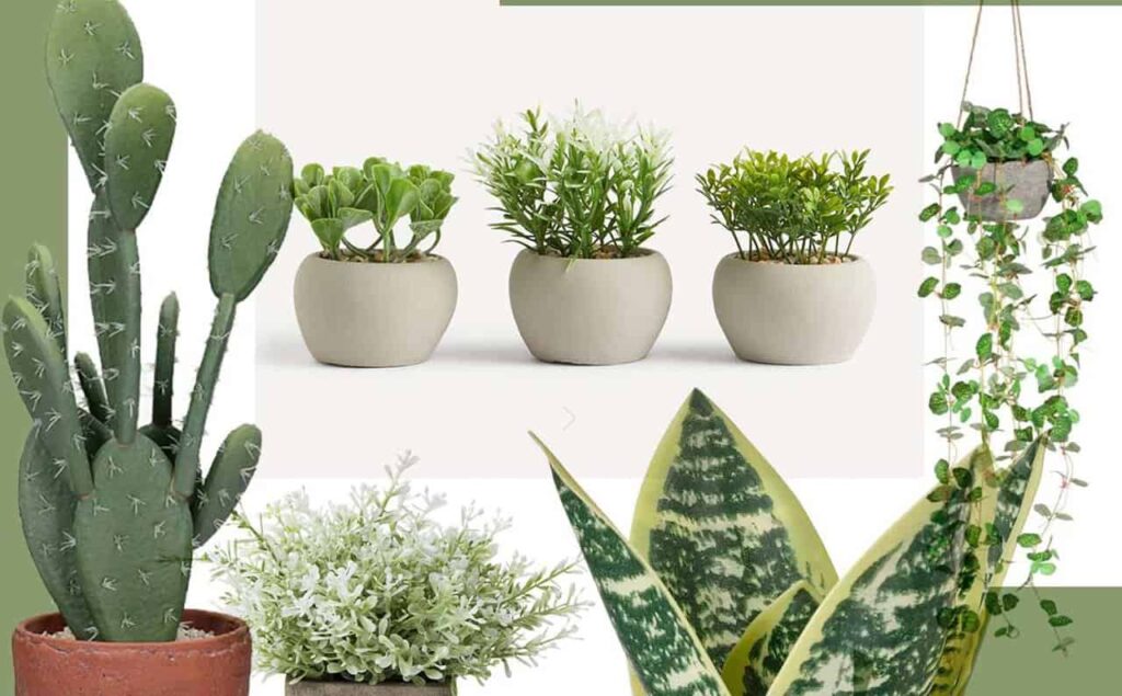Plantas Artificiales: Una Alternativa Práctica y Estética para la ...